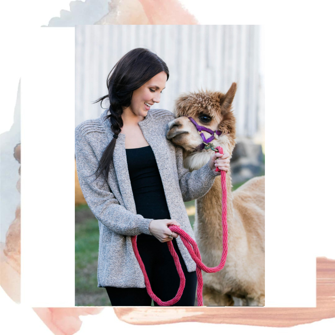 7 Reasons Why You Should Wear Alpaca – Cloud Nine Sheepskin